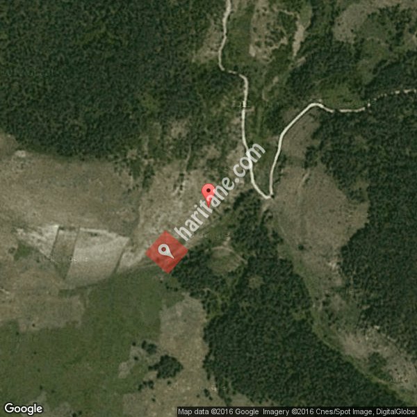 Şenkaya Haritası, nerede, mahalleleri - Şenkaya Erzurum