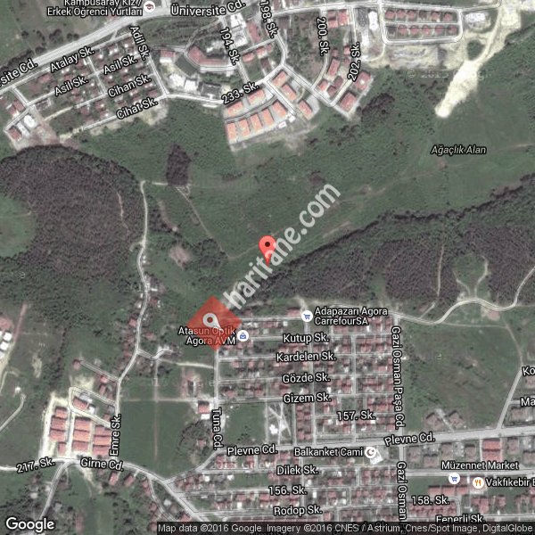 Serdi̇van Haritası, nerede, mahalleleri - Serdi̇van Sakarya