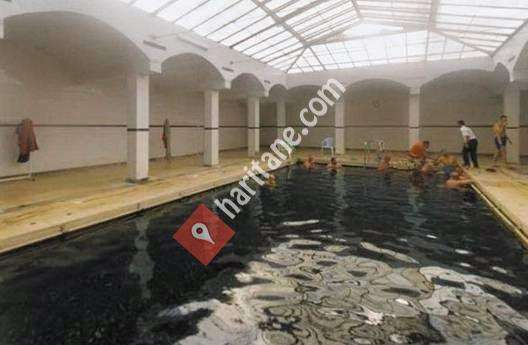 Balikli Kaplica Kangal Fish Sivas Balykly Thermal Spa Psoriasis ...